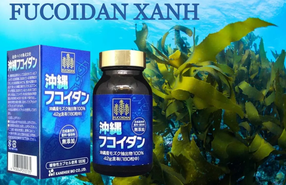 Fucoidan xanh và fucoidan vàng khác nhau như thế nào?